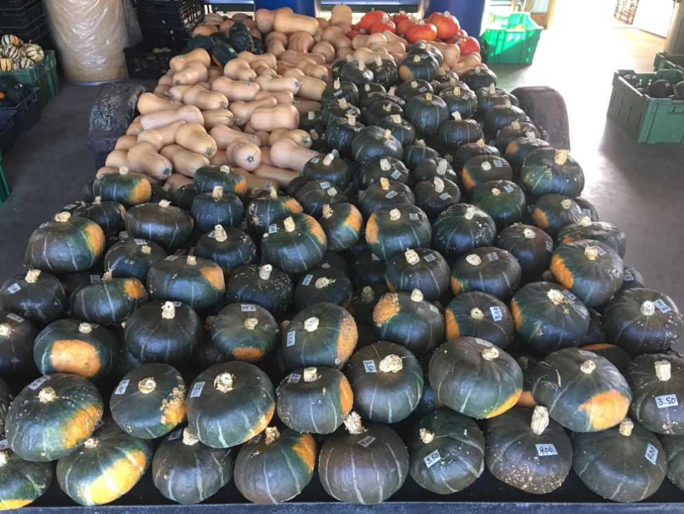 Photos – Sam's Produce