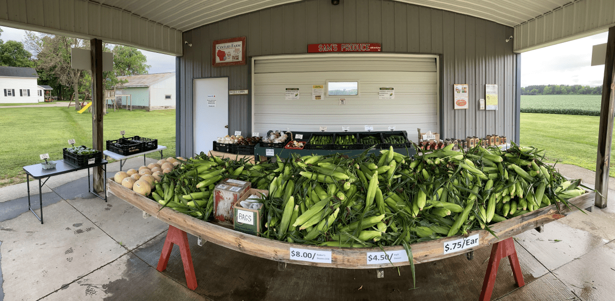 Produce Update August 1, 2023 – Sam's Produce