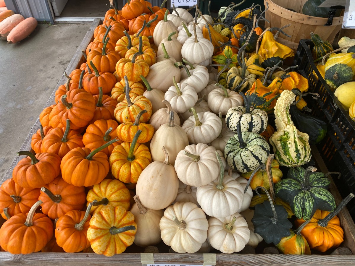 Produce Update October 3, 2023 – Sam's Produce