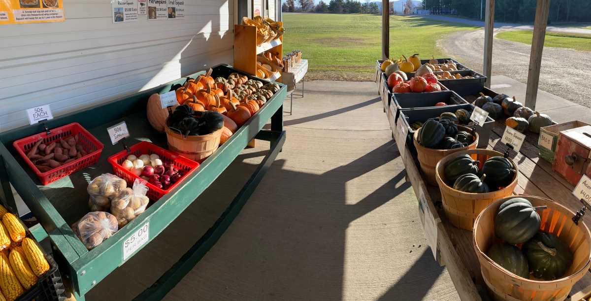 Final Days of the season – Sam's Produce